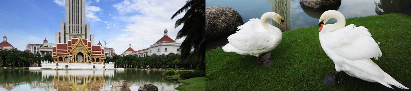 AU MIT POLL – AU MIT Myanmar College